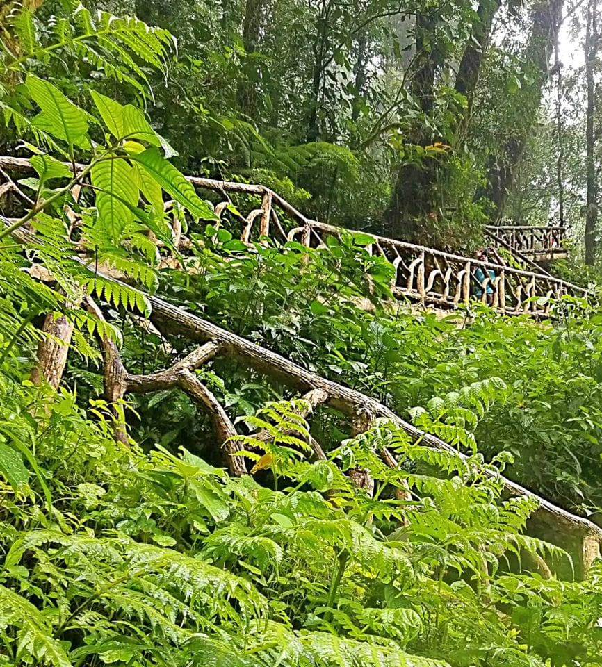 Rio Celeste Costa Rica - 17 Things You Need to Know Before Visiting ...