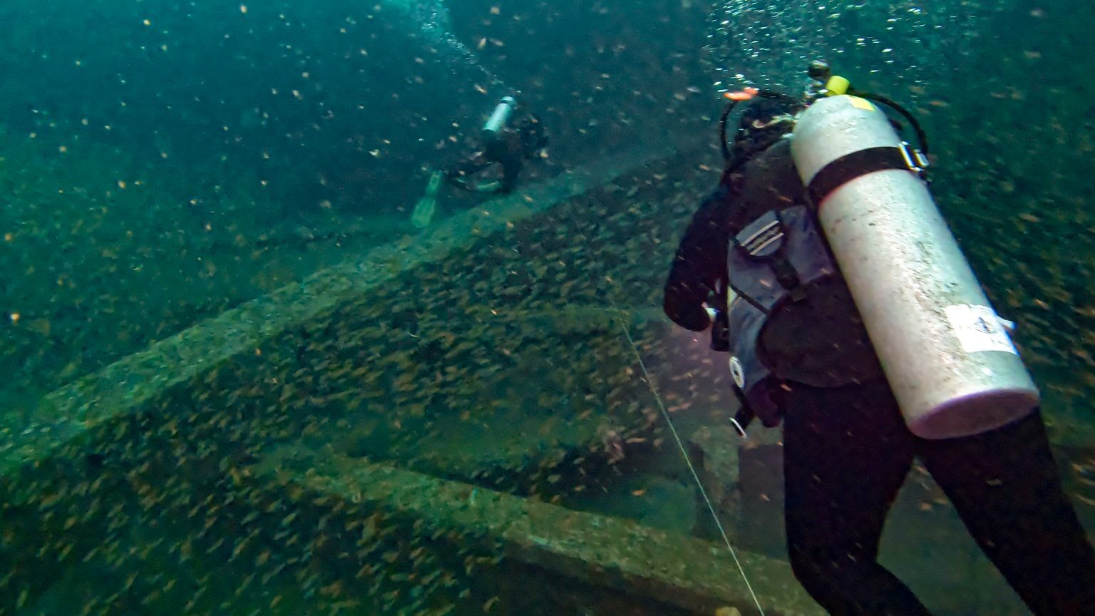 Scuba Diving in Gulf Shores - Concierge Review of the Down Under Dive Shop - Coleman Concierge